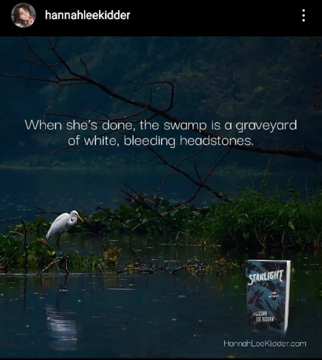 What should authors post on social media? IDEAS & EXAMPLES – Hannah Lee ...