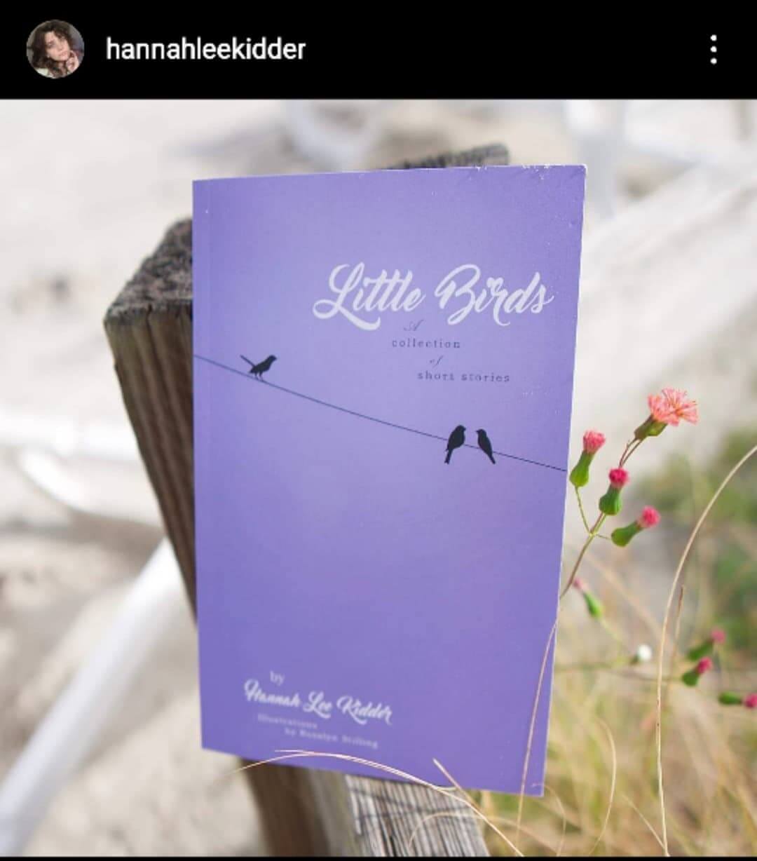 What should authors post on social media? IDEAS & EXAMPLES – Hannah Lee ...