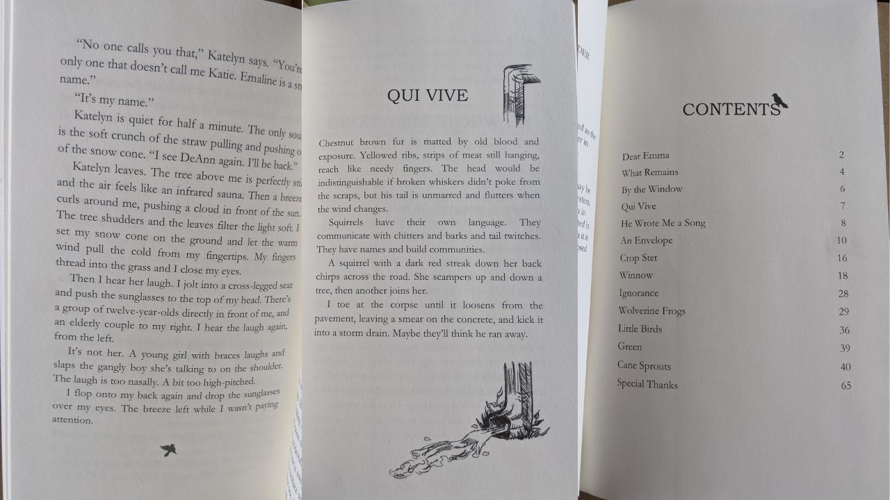 How to Self-Publish a Book For Under $50 – Hannah Lee Kidder