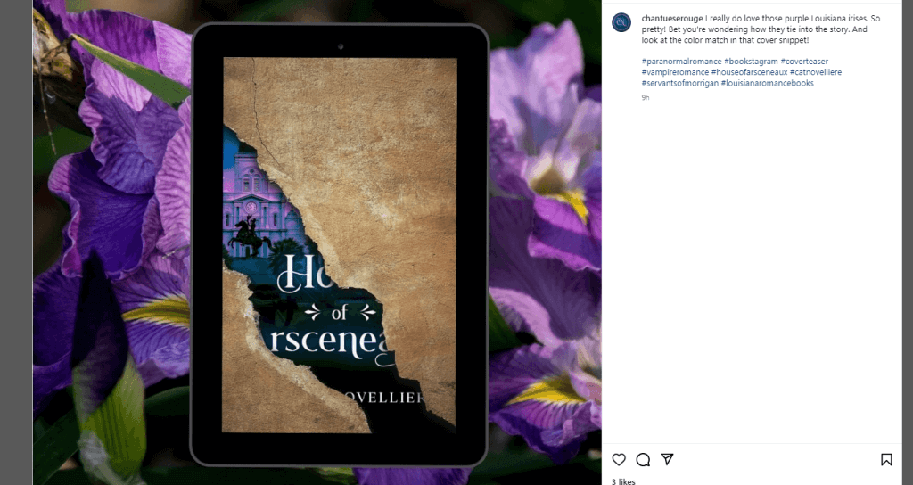 What should authors post on social media? IDEAS & EXAMPLES – Hannah Lee ...