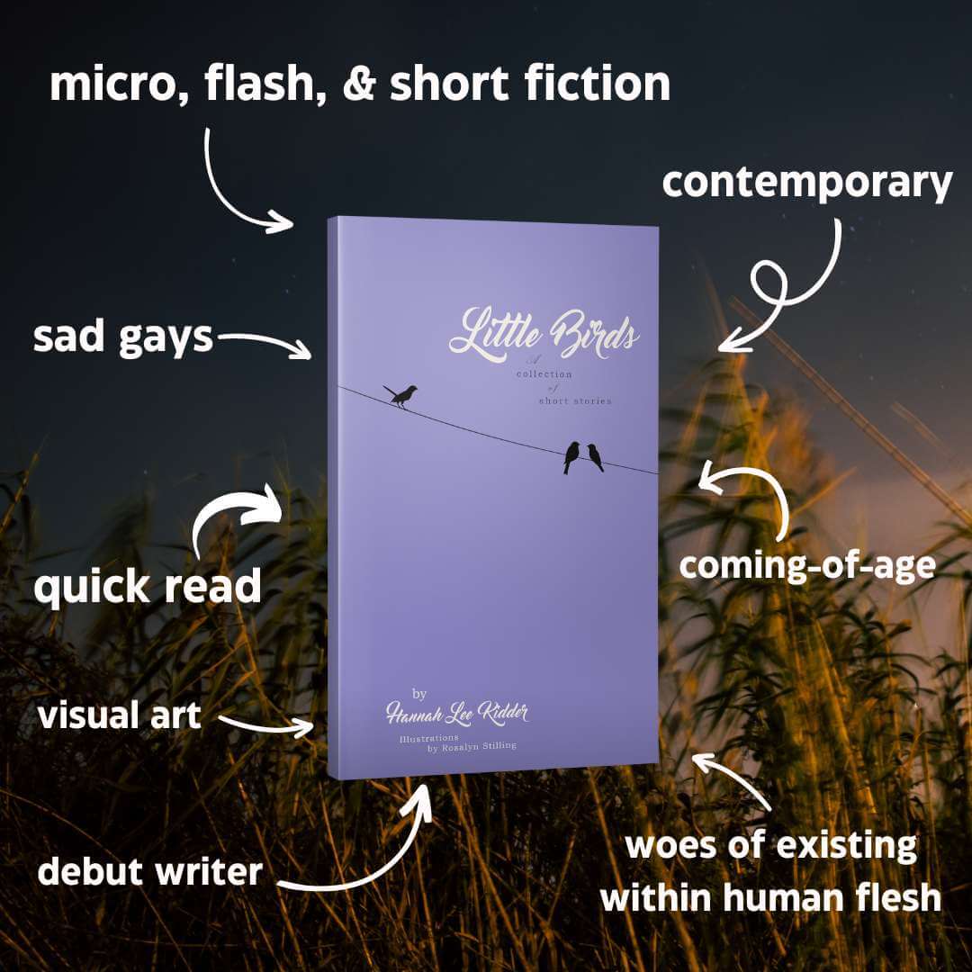 What should authors post on social media? IDEAS & EXAMPLES – Hannah Lee ...