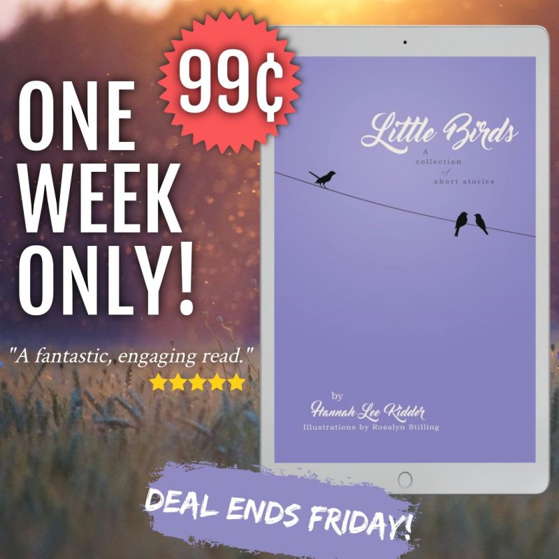 How to Self-Publish a Book For Under $50 – Hannah Lee Kidder